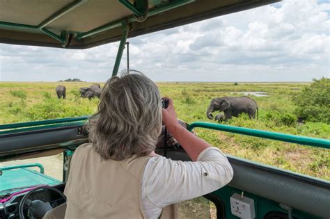 Wildlife Safari — Uganda Safaris