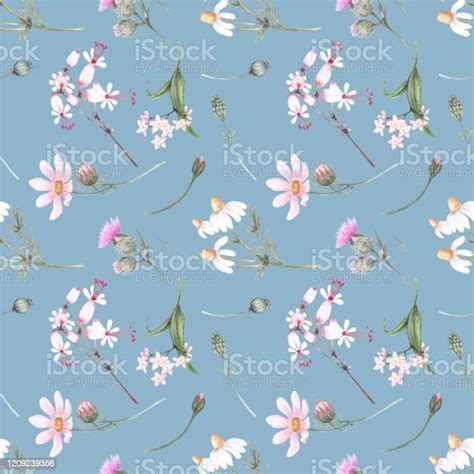 아름다운 야생화의 이미지와 원활한 수채화 패턴 데이지 엉겅퀴 잊어 나 Nots 파란색 배경에 0명에 대한 스톡 벡터 아트 및 기타 이미지 Istock