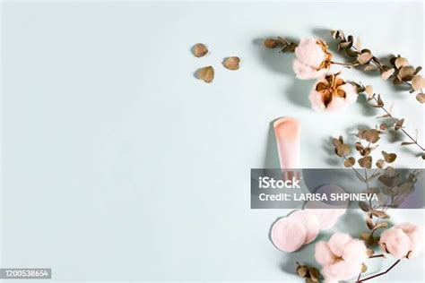 화장품 Spa 메이크업 제품 밝은 파란색 배경에 크림 항아리 유칼립투스 잎 면 패드와 면화 꽃 0명에 대한 스톡 사진 및 기타 이미지 Istock