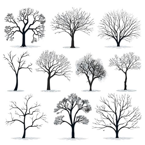 Premium Vector Vector Collection Of Winter Tree Premium Vector Vector Collection Of Winter Tree