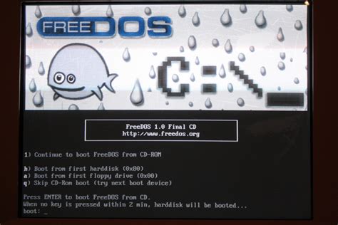 Phoenix Bios Mainboard Tyan S2676 „cannot Flash If Memory Managers E G