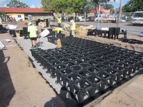 How To Stop Pavement Lift From Tree Roots Citygreen
