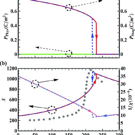 A Physical Polarization And Staggered Polarizations For Heating