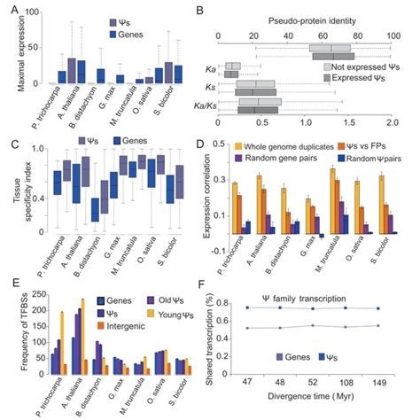 Enrichment Of Cis Regulatory Elements In The Proximal Upstream Regions Download Scientific