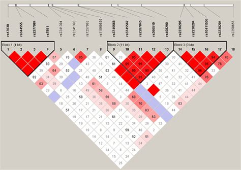 Abbreviations Snps Single Nuclear Polymorphisms Or Odds Ratio Cis