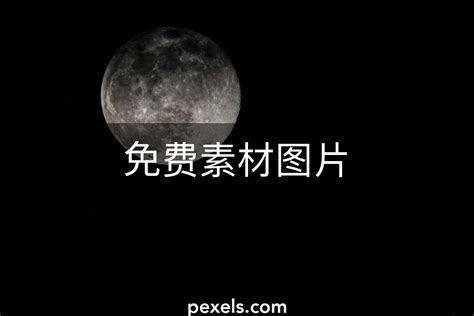 50000张最精彩的“土壤污染”图片 · 100免费下载 · Pexels素材图片