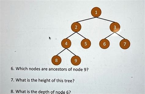 solved 4 7 what is the height of this tree 2 8 9 6 which nodes are