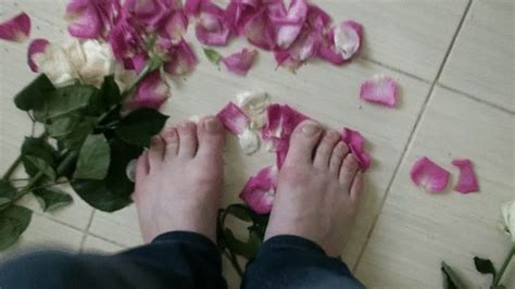 Walhalla Street Face To Face Mp4 Full Hd 1080p