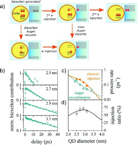 A Electron Injection And Auger Recombination Processes Present In A Download Scientific