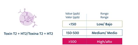 What Mycotoxins Can We Find In Corn Mycotoxinsite Mycotoxinsite