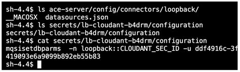 LoopBack Connectors And IBM App Connect