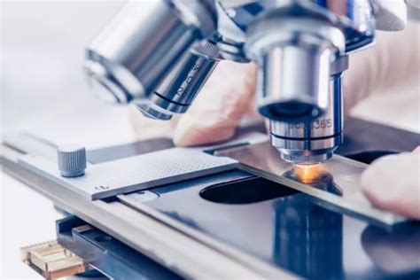 Faecal Egg Count Hoofbeats Sanctuary