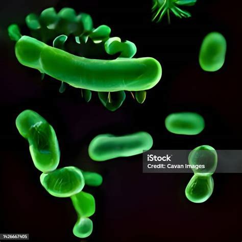 박테리아의 현미경보기 3d 일러스트레이션 3차원 형태에 대한 스톡 사진 및 기타 이미지 3차원 형태 Pyelonephritis 건강관리와 의술 Istock
