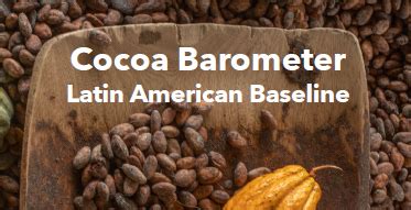 Cocoa Barometer 2022 Latin American Baseline Südwind