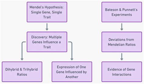 Gene Interaction Definition Types Examples