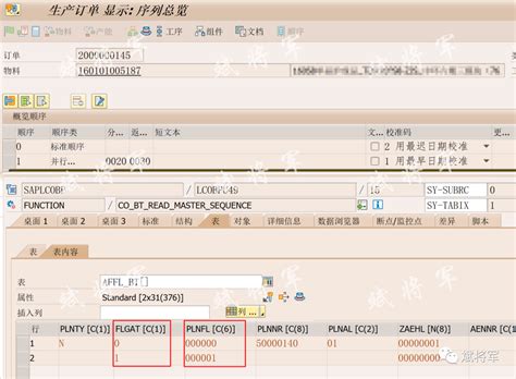 关于改造维护工单bapi alm order maintain用于生产订单组件批量修改（三） csdn博客