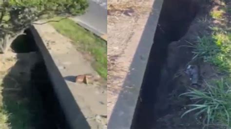 بررسی ویژه حادثه سقوط مرگبار بانوی بابلی از پل موزیرج بابل