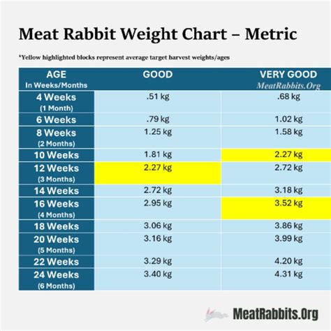 Meat Rabbit Weight Chart Free Download Meat Rabbits