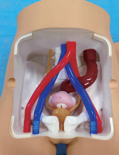 Laparoscopic Simulator Manufacturers And Suppliers China Wholesale