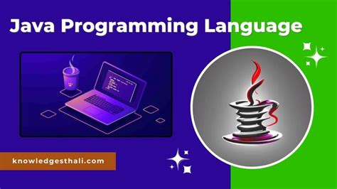 Java Programming Language A Beginners Guide