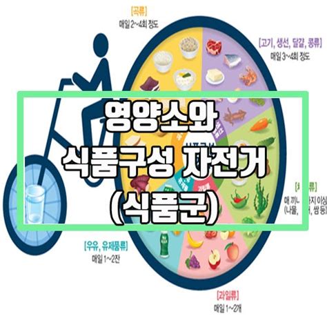 영양소와 식품구성자전거 식품군 네이버 블로그