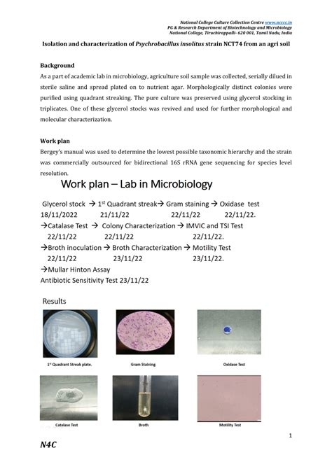 Pdf Isolation And Characterization Of Psychrobacillus Insolitus