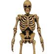 Yokai Skeleton 6 Inch Articulated Icons Action Figure