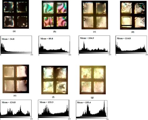 Pops Of 06 Mba Doped 5cb Loaded Grids Submersed In The Aquatic