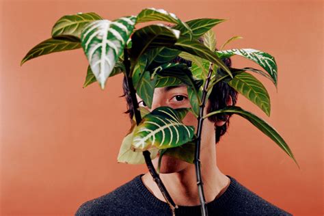 What Introvert And Extrovert Really Mean