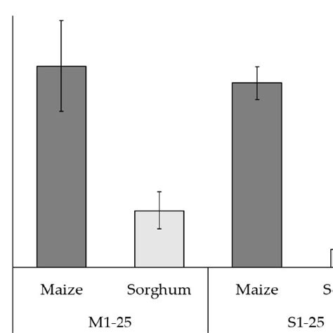 Microsatellite Polymorphism For Fusarium Verticillioides Isolated From Download Scientific