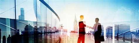 Services Yaana Technologies Llc