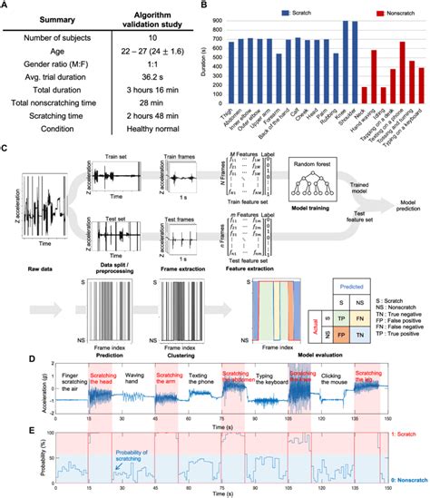 Overview Of Datasets Signal Processing Pipelines And Validation