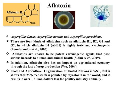 Role Of Toxins In Plant Pathogensis Ppt