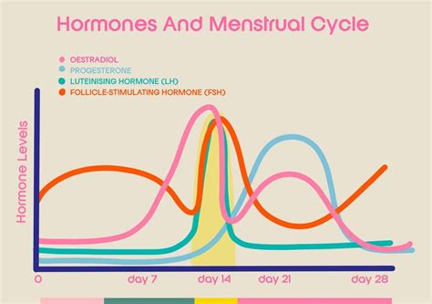24 At Home Hormone And Fertility Testing With Hertility Hannah Pearn