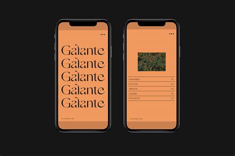 GALANTE on Behance