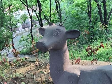 2024紫云山 旅游攻略 门票 地址 问答 游记点评襄城旅游旅游景点推荐 去哪儿攻略