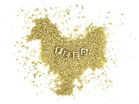 Performance Fc Feed Problems And Digestibility For Poultry Farm Feed Quality Data Research