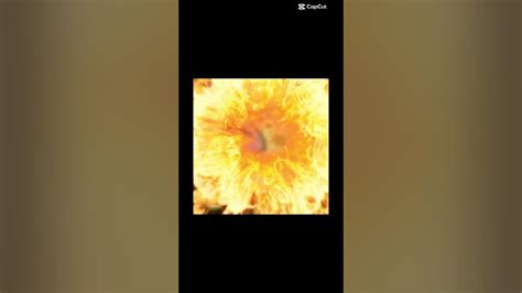 Spongebob Ahh🗣️ Youtube