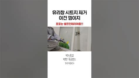 유리창시트지 제거 이건 너무 쉽잖아비법대공개 셀프인테리어 유리창시트지 프로현장인 Youtube