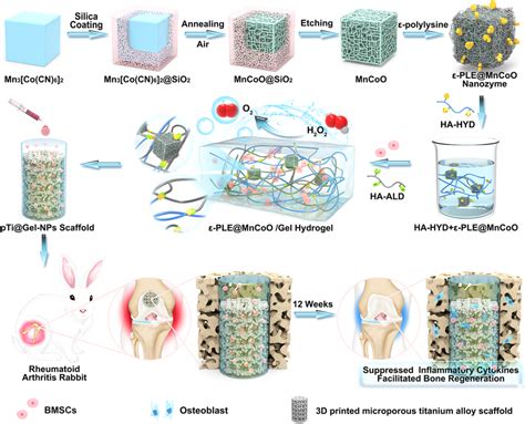 Development Of Nanozyme Reinforced Hydrogels As H2o2 Driven