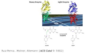 Simulations Biofísica