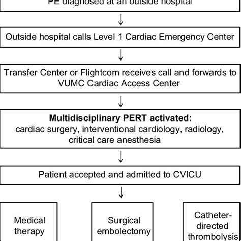PDF Multidisciplinary Approach To The Management Of Pulmonary Embolism Patients The Pulmonary