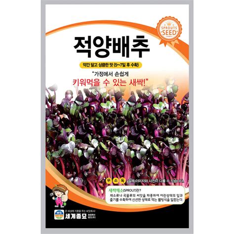 새싹씨앗씨앗판매 쇼핑몰