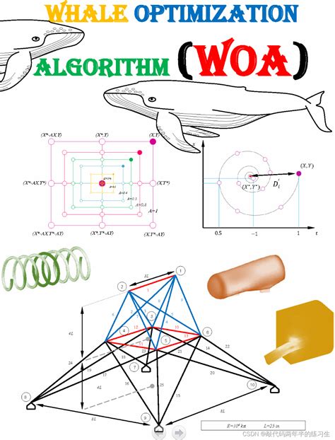 【matlab】智能优化算法 鲸鱼优化算法woa woa优化算法 csdn博客