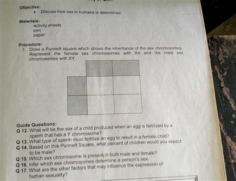 Objective Discuss How Sex In Humans Is Studyx