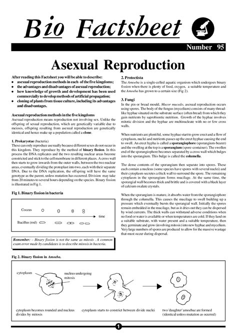 Asexual Reproduction Schemes And Mind Maps Physics Docsity