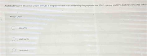 Solved Acetobacter Aceti Is A Bacterial Species Involved In The Production Of Acetic Acid