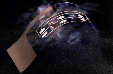 1 Flexible Organic Transistor Download Scientific Diagram