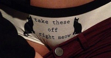 I Dislike Cats But I Guess Theres An Exception For Every Rule Imgur