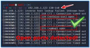 Lab Netcat Labs Net